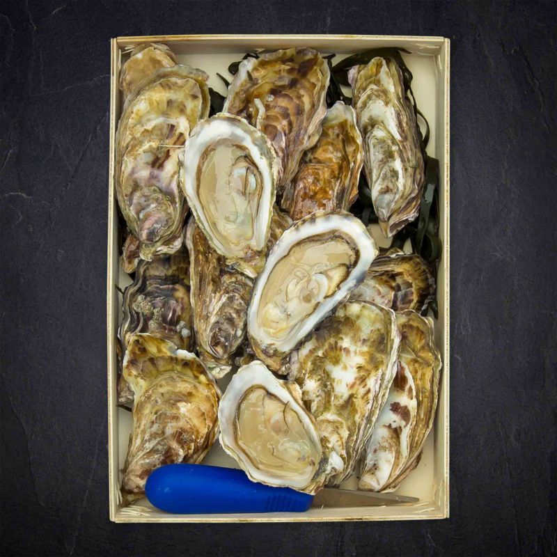 Die Vielfalt der Austern